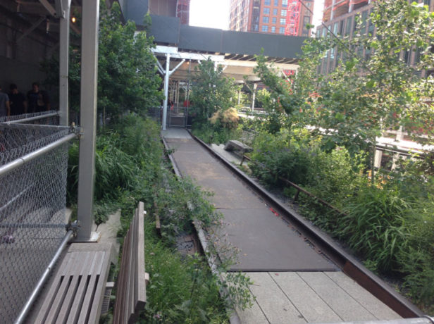 דברים מומלצים ביותר לעשות בניו יורק - מטיילת מחוץ לקופסא